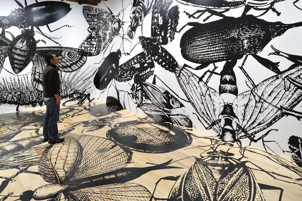 Regina Silveira | APAP